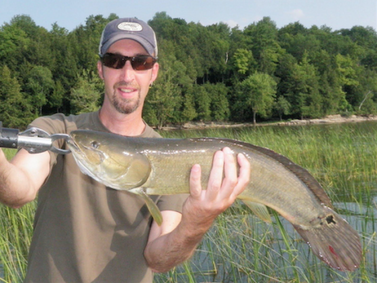 Art Lander's Outdoors: Bony bowfin is a 'living fossil,' one of ...