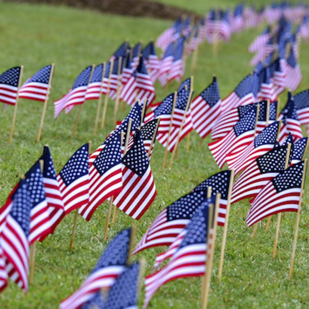 Disabled American Veterans' Field of Flags campaign to honor service ...
