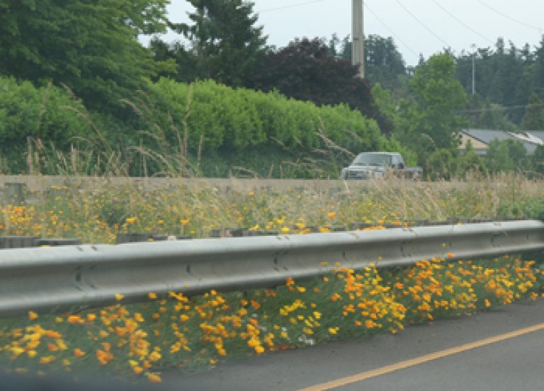 Heads up drivers: State Transportation Cabinet to start treating for ...