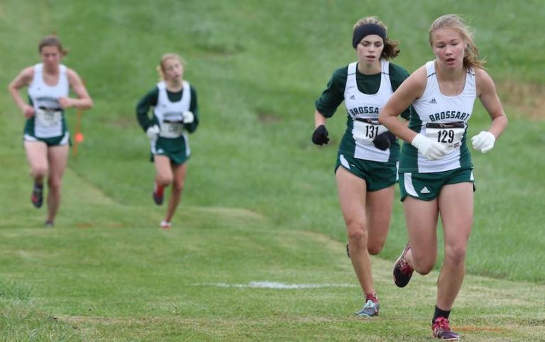 Regional cross country: Brossart girls follow each other across finish ...