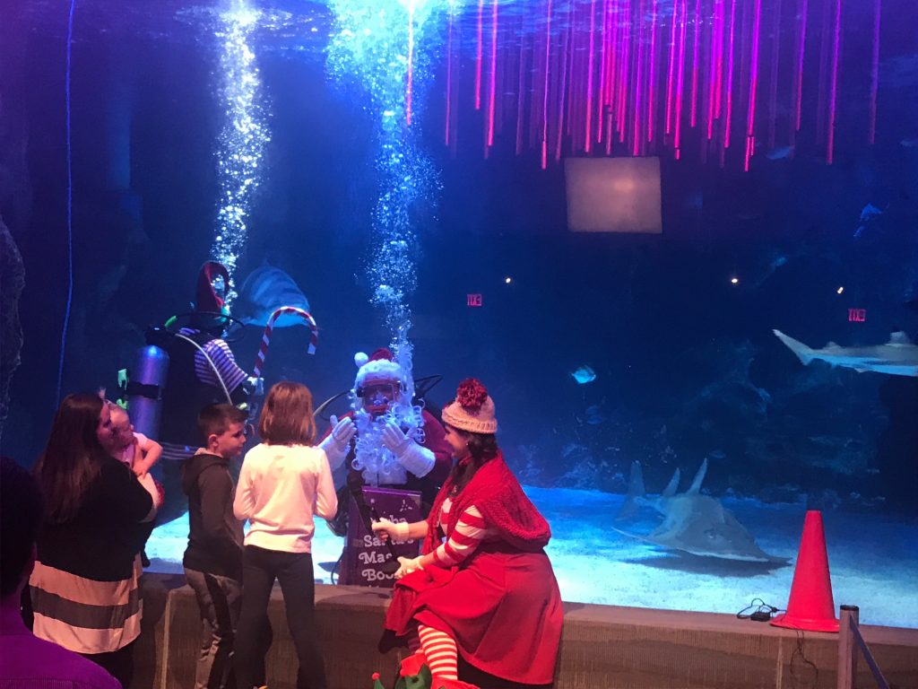 Scuba Santa’s Water Wonderland at Newport Aquarium; Bayou Babies ...