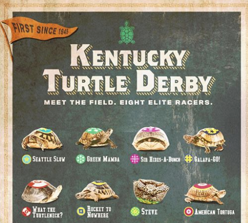 Billy Reed: The Turtle Derby has a nice, slow ring to it - how about ...