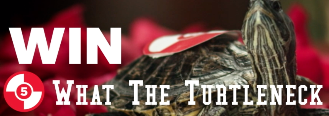 What The Turtleneck is 1st in Kentucky Turtle Derby; Secretariat ...