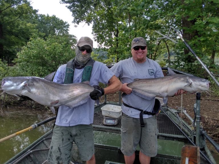 Art Lander's Outdoors: The unofficial fish of summer, catfish, abound ...