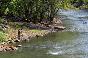 Art Lander's Outdoors: Pike County's Fishtrap Lake offers surprising ...