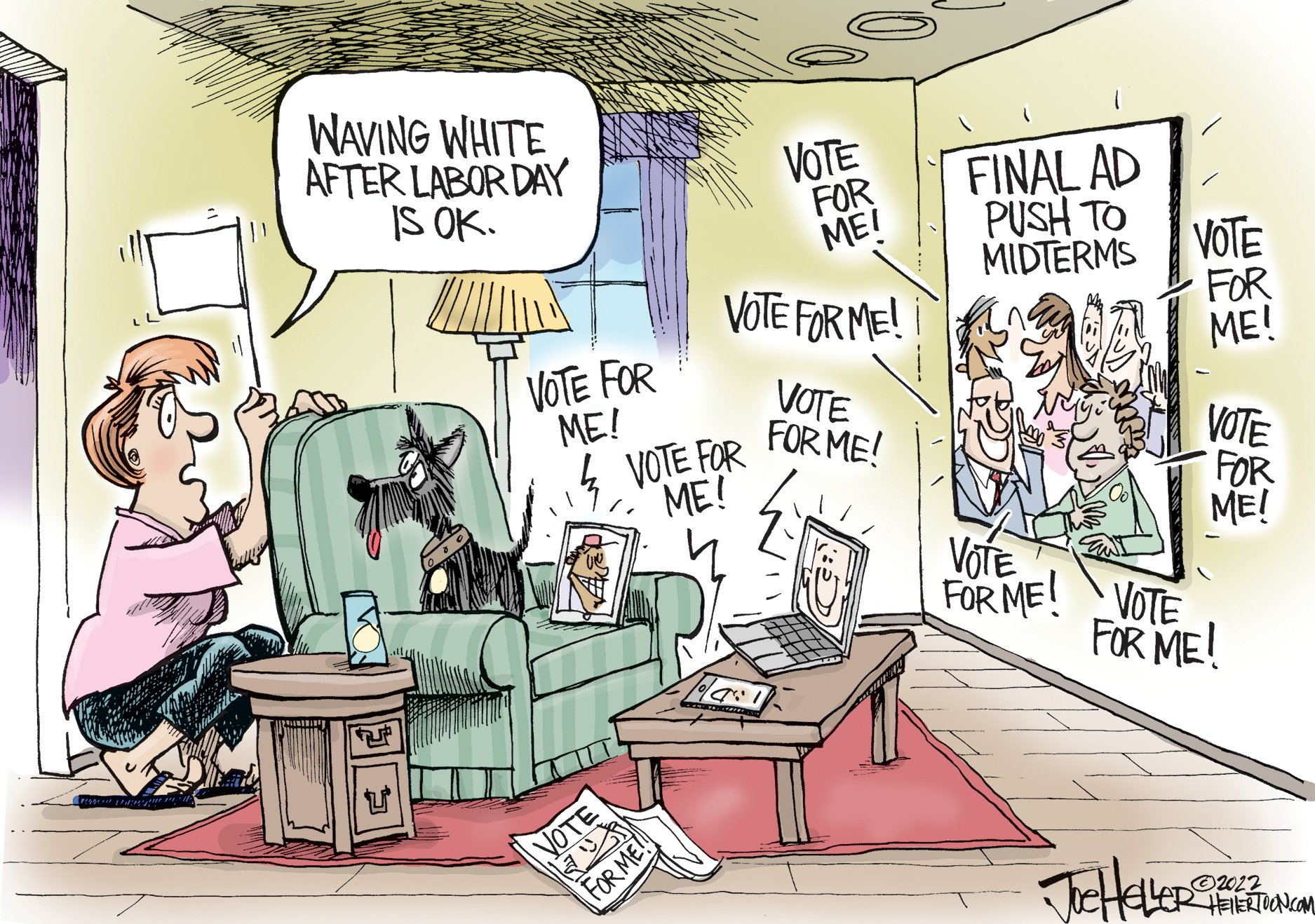 Joe Heller: A cartoonist's view of the news of the week, including a ...