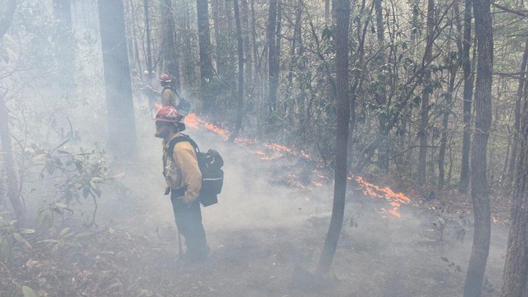 Kentucky Division of Forestry officials say fire at Natural Bridge ...