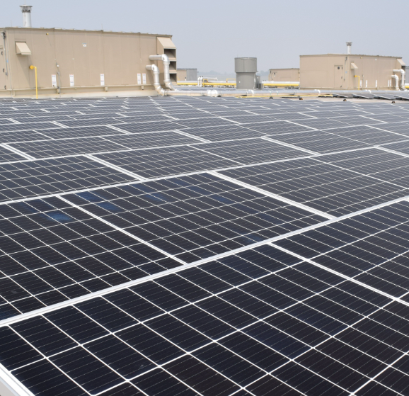 Amazon unveils two renewable energy projects in NKY: rooftop solar at ...
