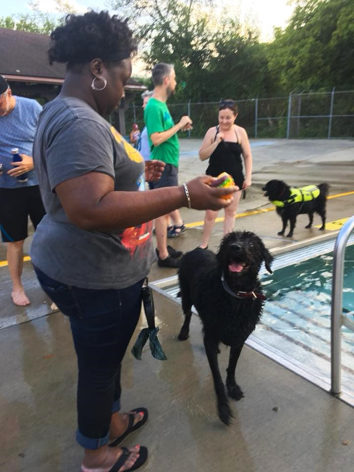 Covington's annual ' Pups at the Pool' event Aug. 4 moves to Latonia ...