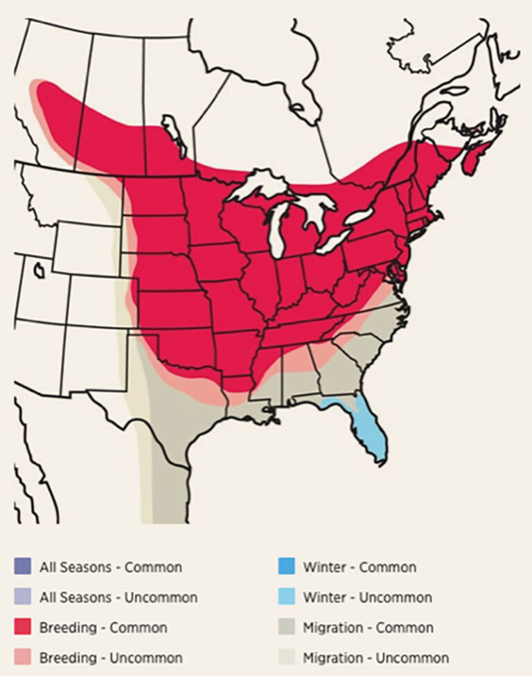Art Lander's Outdoors: The Baltimore Oriole is an uncommon breeding ...