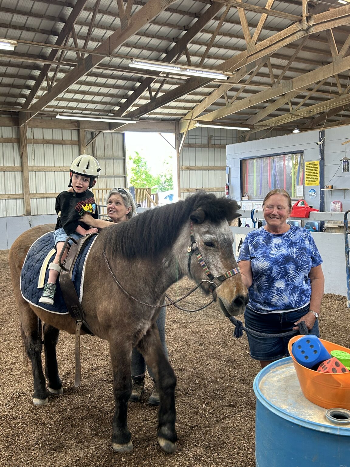 Milestones therapeutic equestrian center to mark 25th anniversary with ...