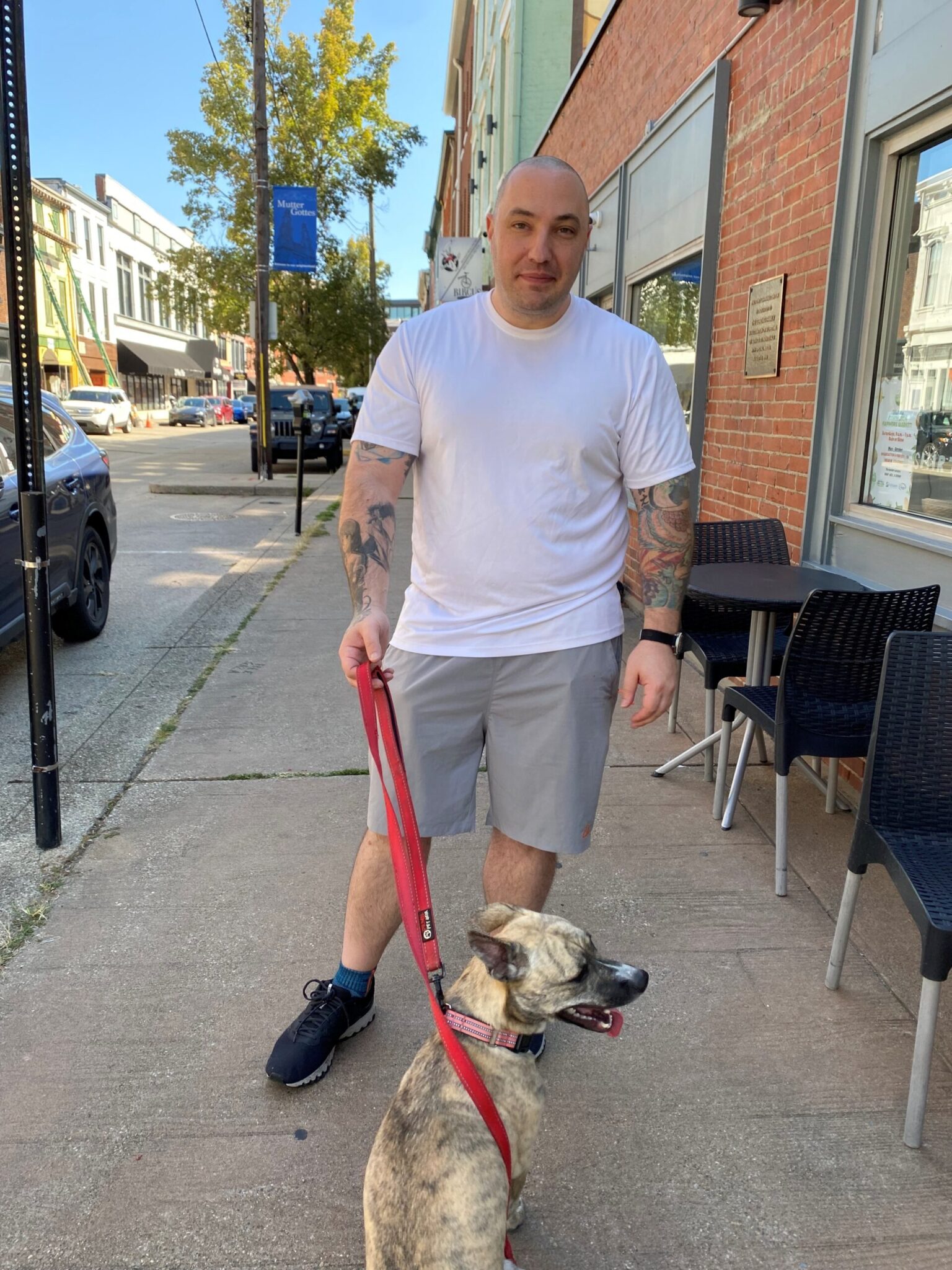 Point/Perk's The Dog Days of Summer's top dogs named - and all can't ...