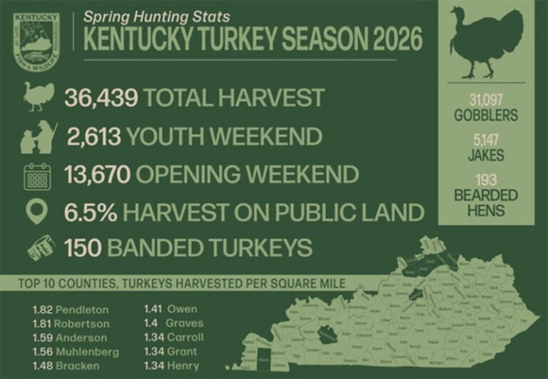 Kentucky by Heart: The eastern gray squirrel is another of Kentucky's ...